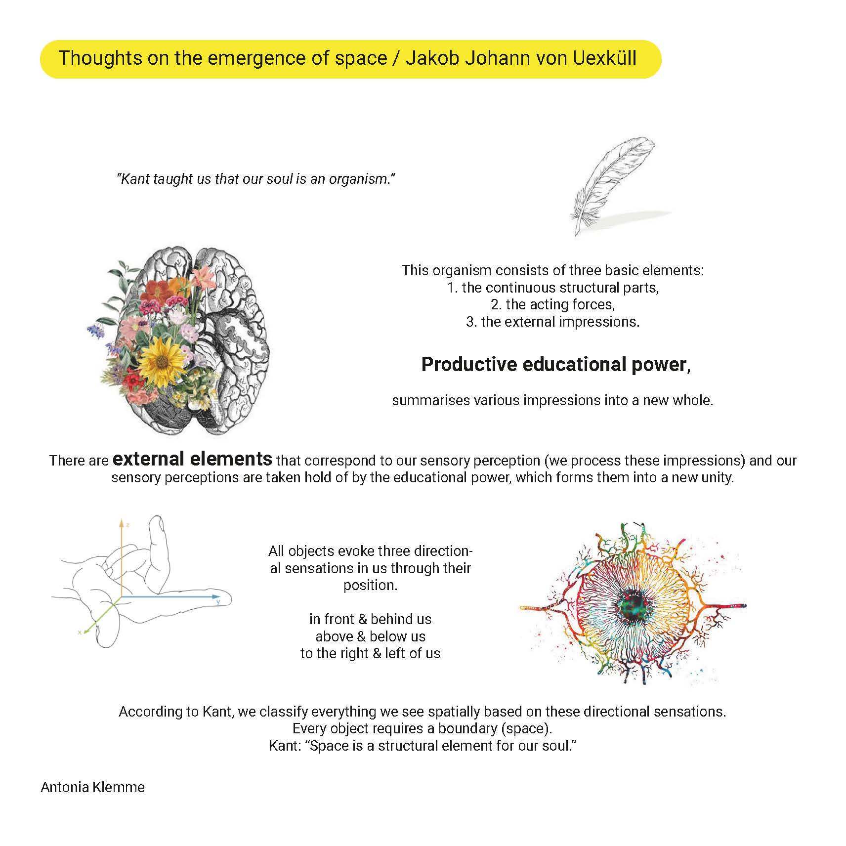 Illustrated Spatial Theories